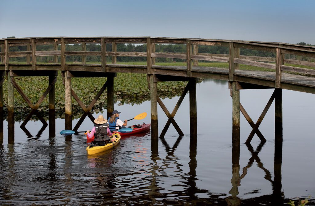 10 Family Kayaking Tips for a Safe & Fun Adventure - Virginia Water Trails